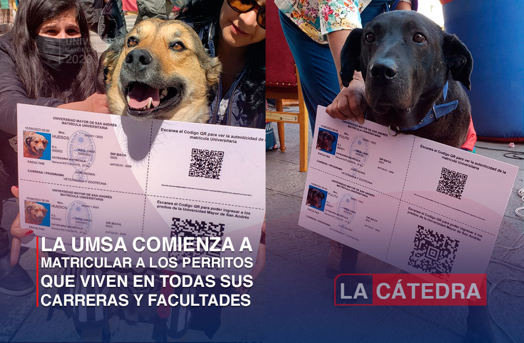 LA UMSA COMIENZA A MATRICULAR A LOS PERRITOS QUE VIVEN EN TODAS SUS ...